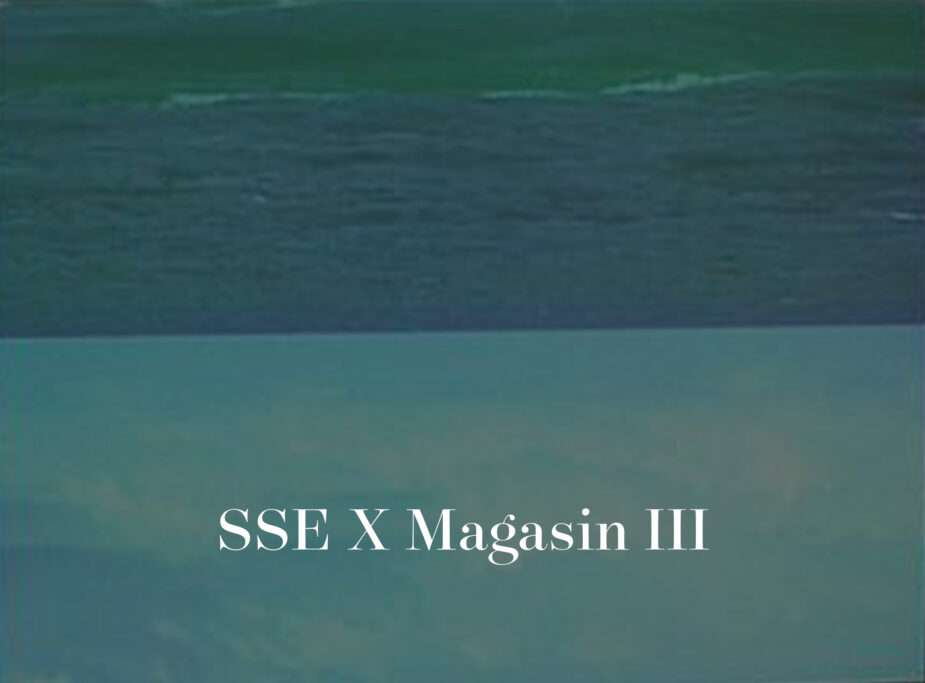 Film program Borderland at SSE - Magasin III